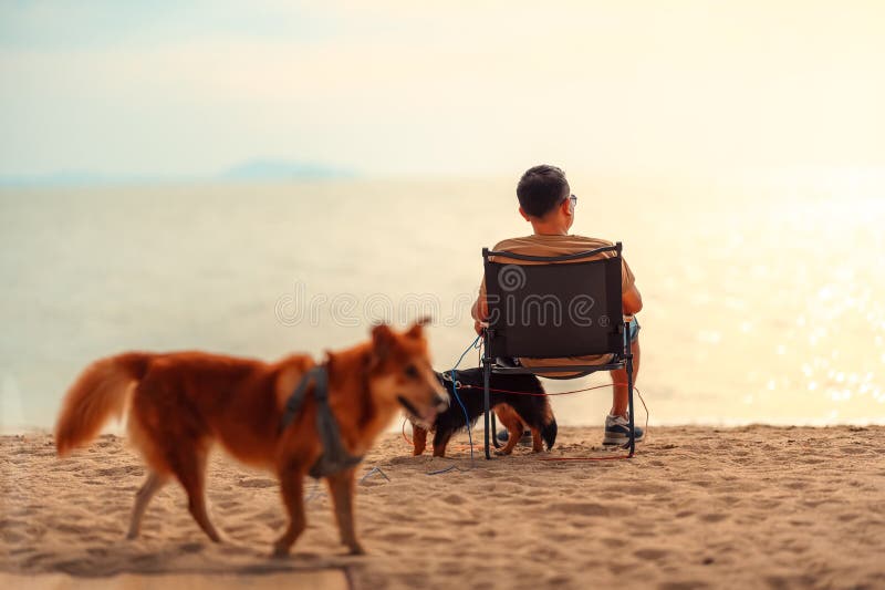 Dog Owner Sitting on a Chair on the Beach and See Sunset Stock Photo ...