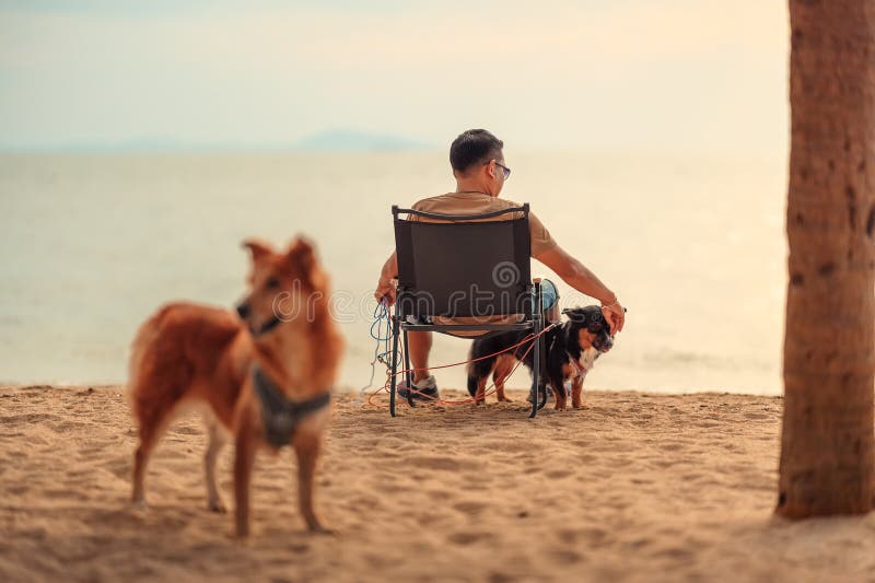 Dog Owner Sitting on a Chair on the Beach and See Sunset Stock Photo ...