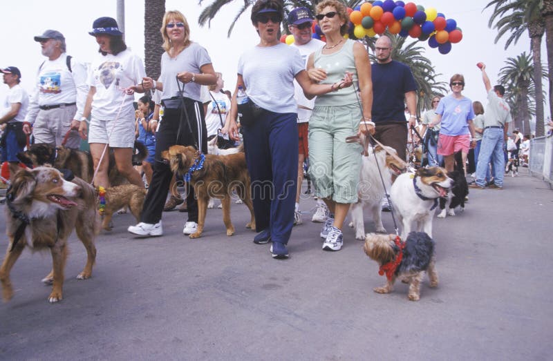 Dog Owners Taking Their Pets for a Walk Editorial Photography - Image ...