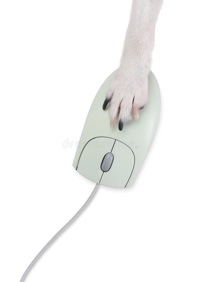 Computer Mouse and Vine Border Stock Photo - Image of botany, online ...