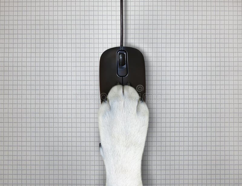 249 Computer Mouse Paw Stock Photos - Free & Royalty-Free Stock Photos ...