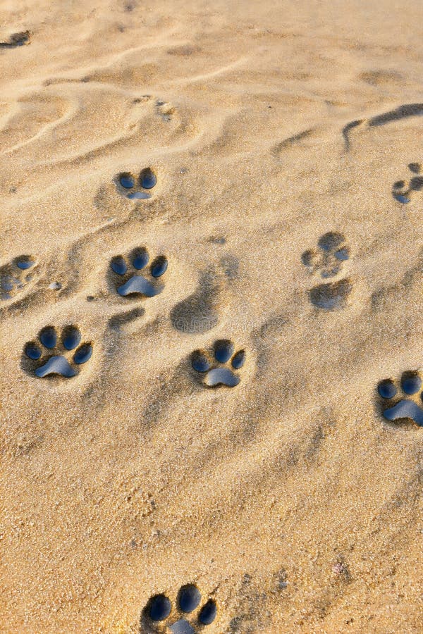 Clipart Footsteps Pattern Stock Photos - Free & Royalty-Free Stock ...