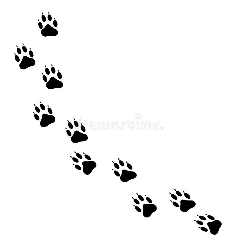 Dog Paw Tracks stock vector. Illustration of animal, tracks - 11602123