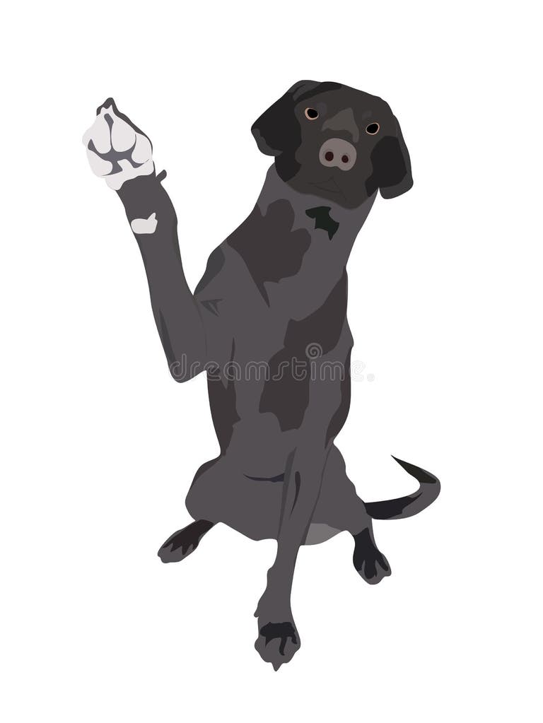 Innocent Dog Stock Illustrations – 17,886 Innocent Dog Stock ...