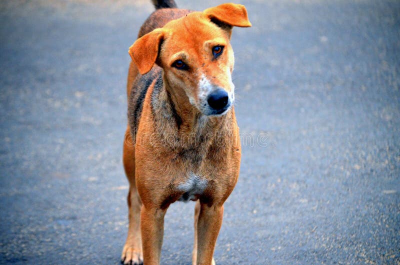 Hopeineyes Stock Photos - Free & Royalty-Free Stock Photos from Dreamstime