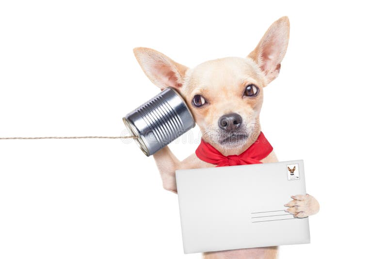 Dog on the phone talking stock photo. Image of expression - 27463356