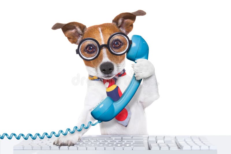 Dog with headset stock image. Image of isolated, charts - 23515871