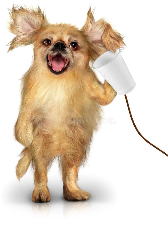 Dog with phone stock photo. Image of business, happy - 34957336