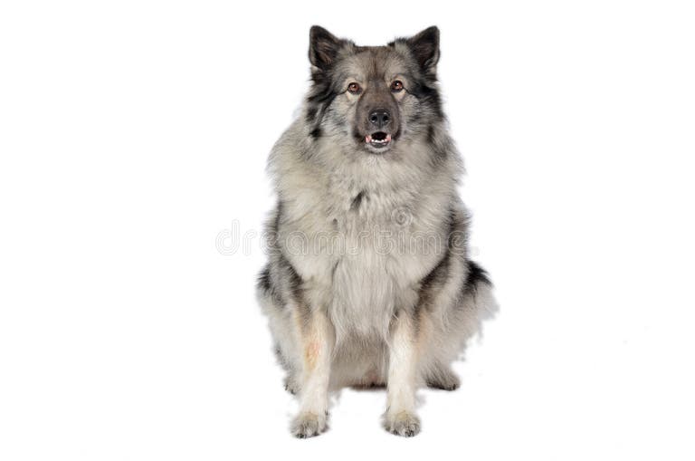 Fotostudio Kft Stock Photos - Free & Royalty-Free Stock Photos from ...