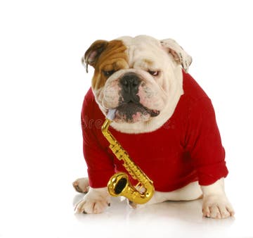 393 Dog Playing Musical Instrument Stock Photos - Free & Royalty-Free ...