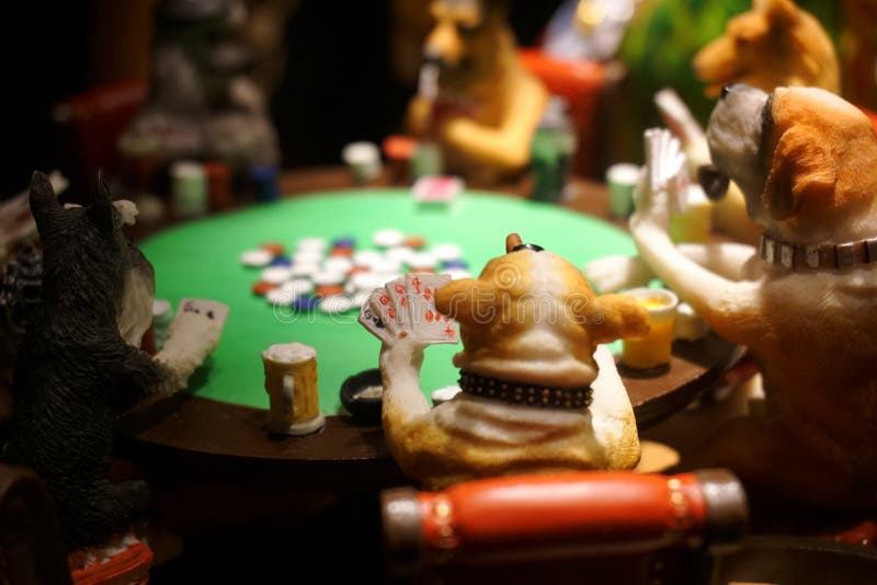 Dog poker stock photo. Image of queen, poker, chips, last - 62571258