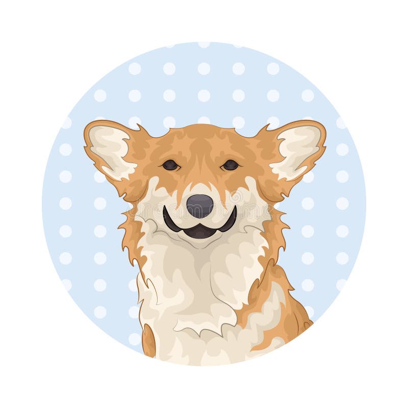 This Cute Dog Has Big, Expressive Eyes that Shine with Curiosity and ...