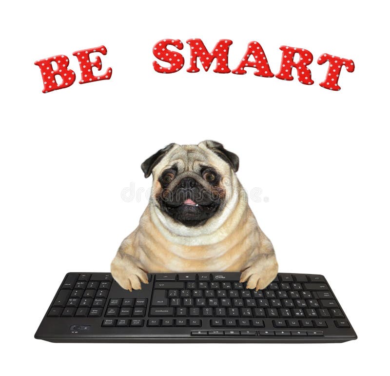 Iryna Kuznetsova (Ira1966k) - Photographer profile