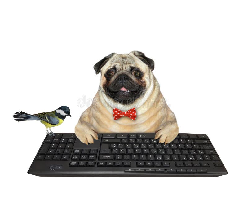 Iryna Kuznetsova (Ira1966k) - Photographer profile