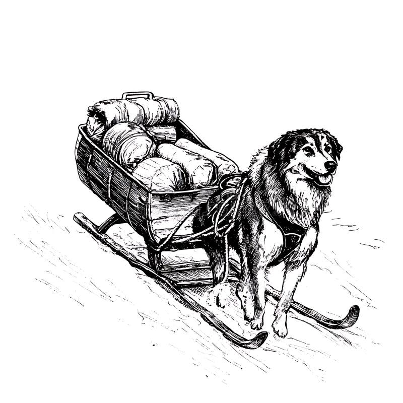 Dog Pulling Sled Loaded with Camping Gear Uphill Stock Illustration ...