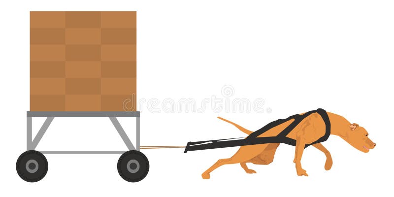 Set of Working Dog Sport Silhouettes. Stock Vector - Illustration of ...