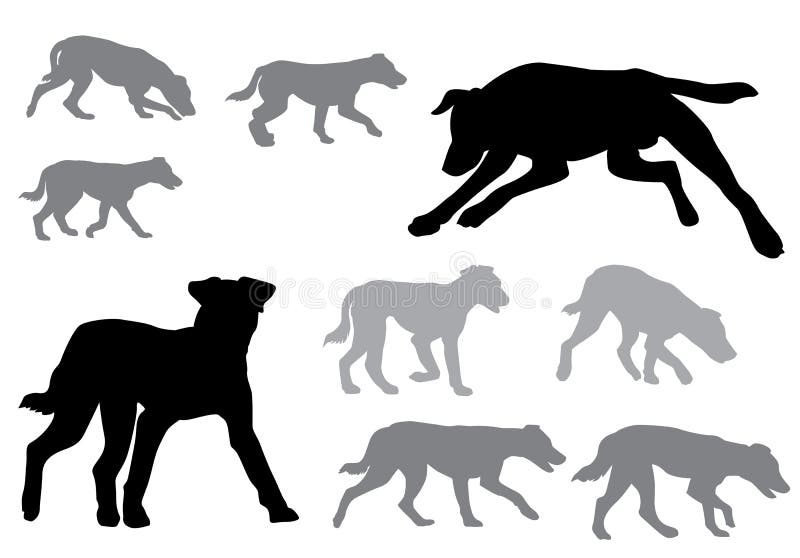 Lab Walking Stock Illustrations – 246 Lab Walking Stock Illustrations ...