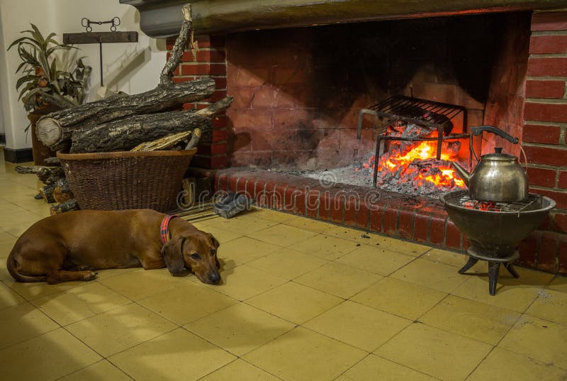 Dog Resting Next To a Warm Fire Stock Image - Image of looking, fire ...