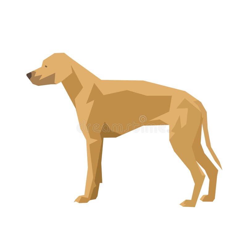 Dog, Rhodesian Ridgeback, Isolated Geometric Vector Illustration Stock ...