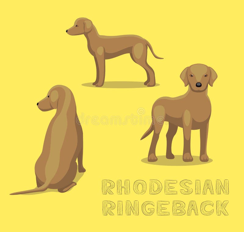 Dog Rhodesian Ringeback Cartoon Vector Illustration Stock Vector ...