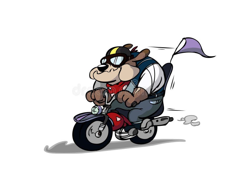 Dog riding on a motorcycle stock photo. Image of sitting - 21573210