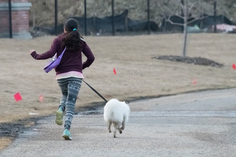 Dog Runner in the park stock photo. Image of park, runner - 144829216