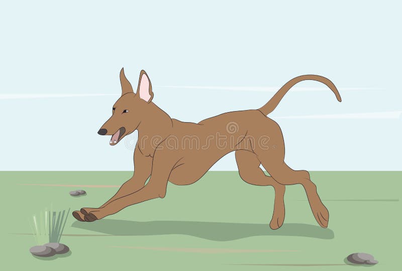 Dog running, color, vector stock vector. Illustration of german - 126343027