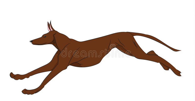 Dog running, color, vector stock vector. Illustration of labrador ...