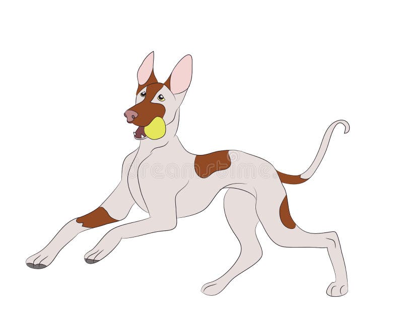 Dog running, color, vector stock vector. Illustration of labrador ...