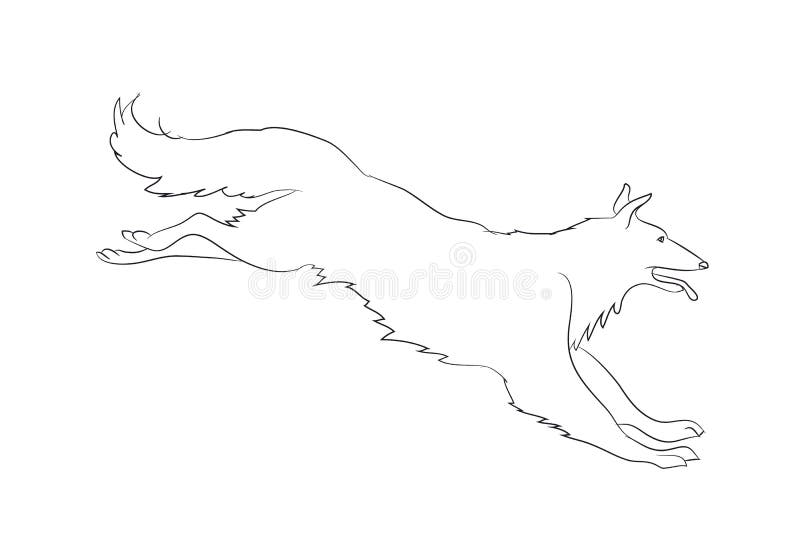 Dog running, lines, vector stock illustration. Illustration of cartoon ...