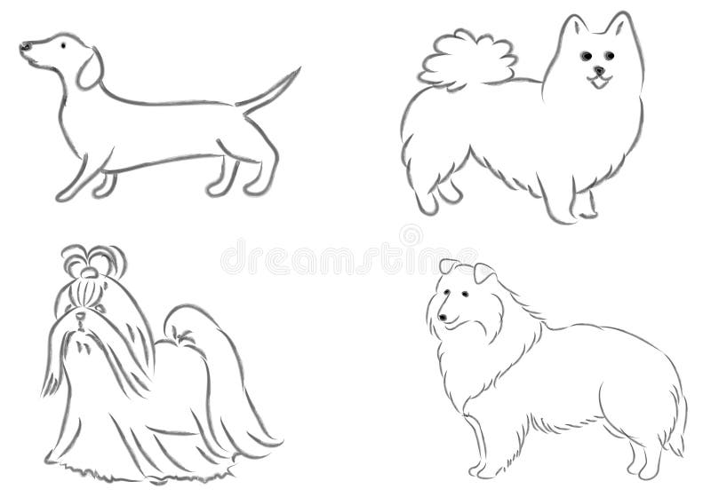 4 dog`s breeds stock vector. Illustration of gody, shelties - 84419768