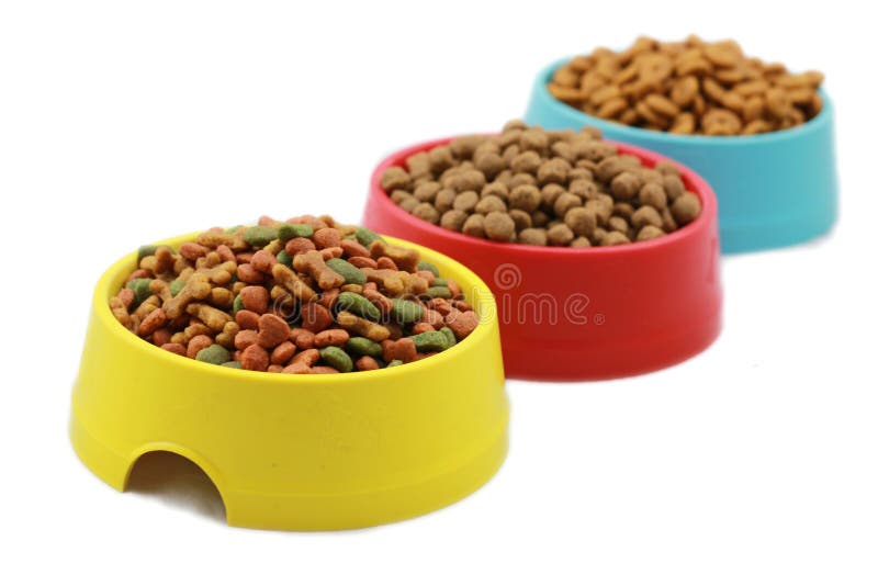 Dog`s pellets in bowl stock image. Image of healthy, snack - 96464059