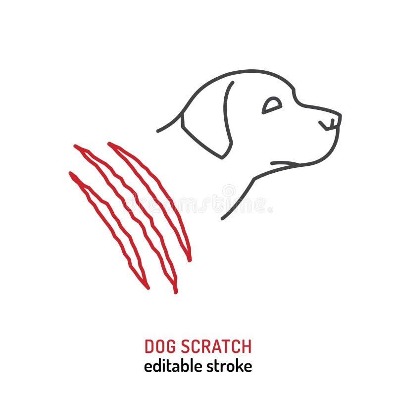 Dog Scratch. Common Pet Behavior Symbol. Excessive Scratching Stock ...