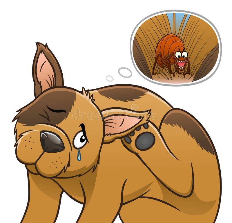 Do Dogs Scratch When They Have Fleas