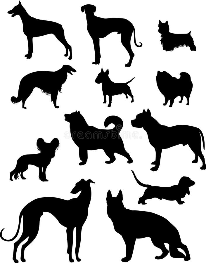 Dog drawing set stock vector. Illustration of decor, beautiful - 10856219