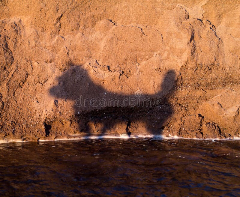 Dog Shadow at the Beach stock photo. Image of rural, erosion - 26461822