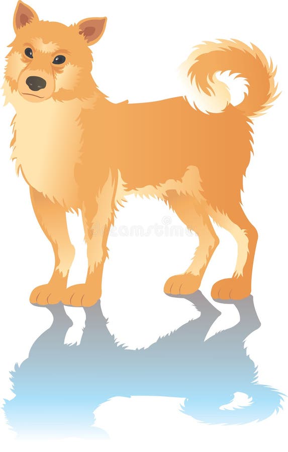 A dog with shadow stock image. Image of tail, shadow - 69755121