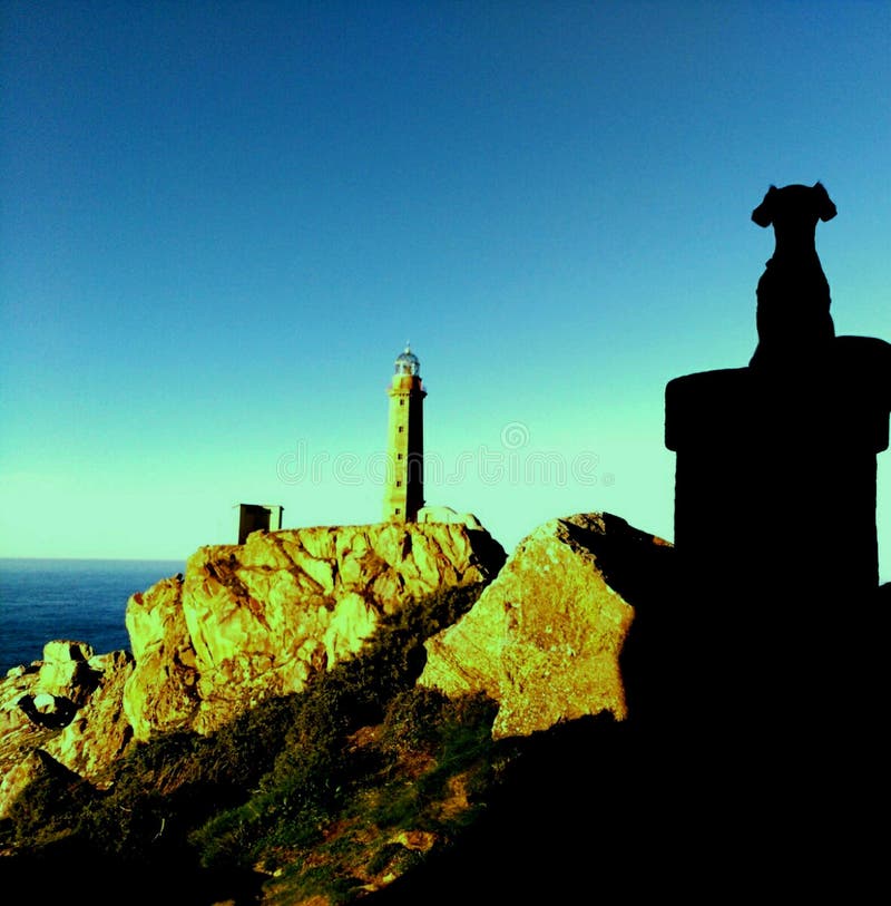 Dog in the Shadow in Lighthouse Stock Image - Image of silhouete ...