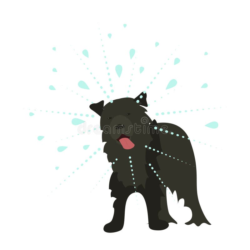 He dog shakes the water stock vector. Illustration of breed - 96528622