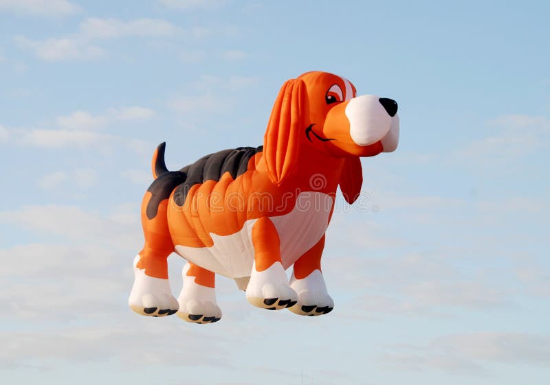 Dog shaped balloon stock image. Image of outdoor, flying - 5499913