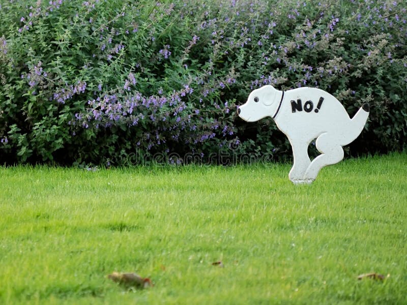 Dog Shaped Sign Forbidding Dogs Pooping in the Park Stock Photo - Image ...