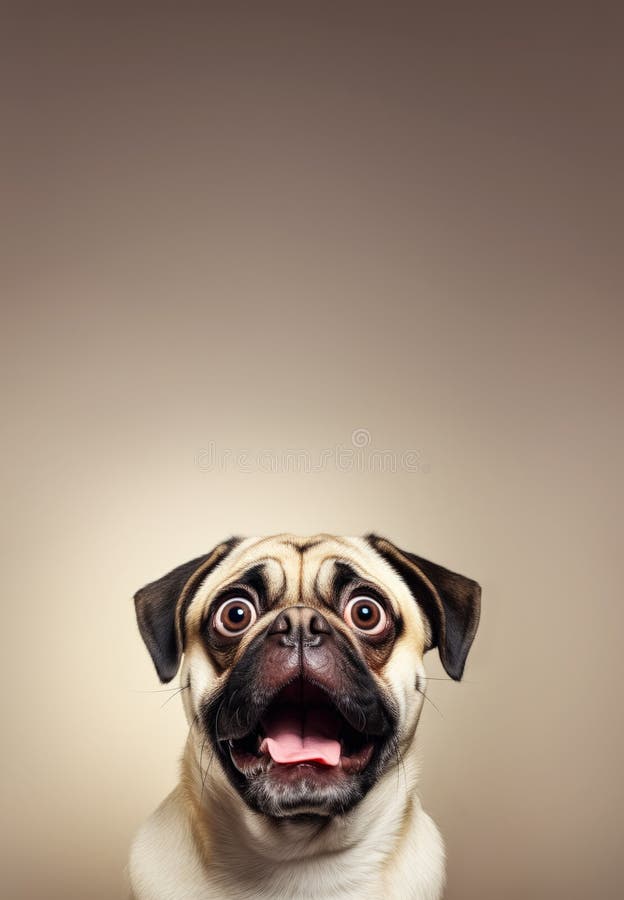 Dog with Shocked Surprised Expression, Large Eyes. Vertical Banner with ...
