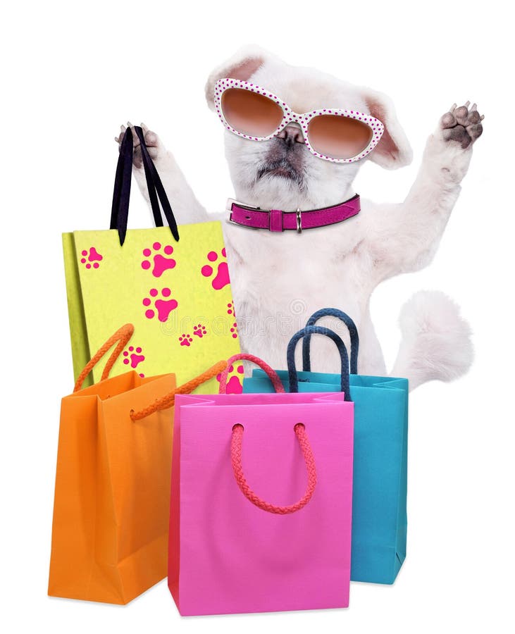Funny Dog with Shopping Bags Stock Image - Image of shopaholic, fashion ...