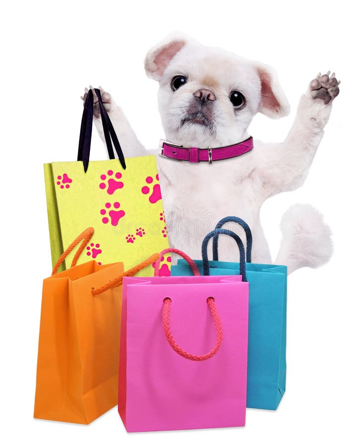 Funny Dog with Shopping Bags Stock Image - Image of shopaholic, fashion ...
