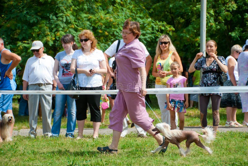 Dog show editorial photo. Image of friend, owner, behavior - 15337661