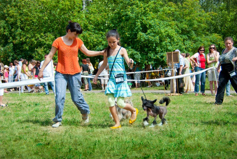 Dog show editorial image. Image of companion, demonstration - 15337670
