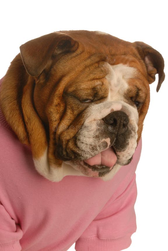 4,259 Sour Face Stock Photos - Free & Royalty-Free Stock Photos from ...