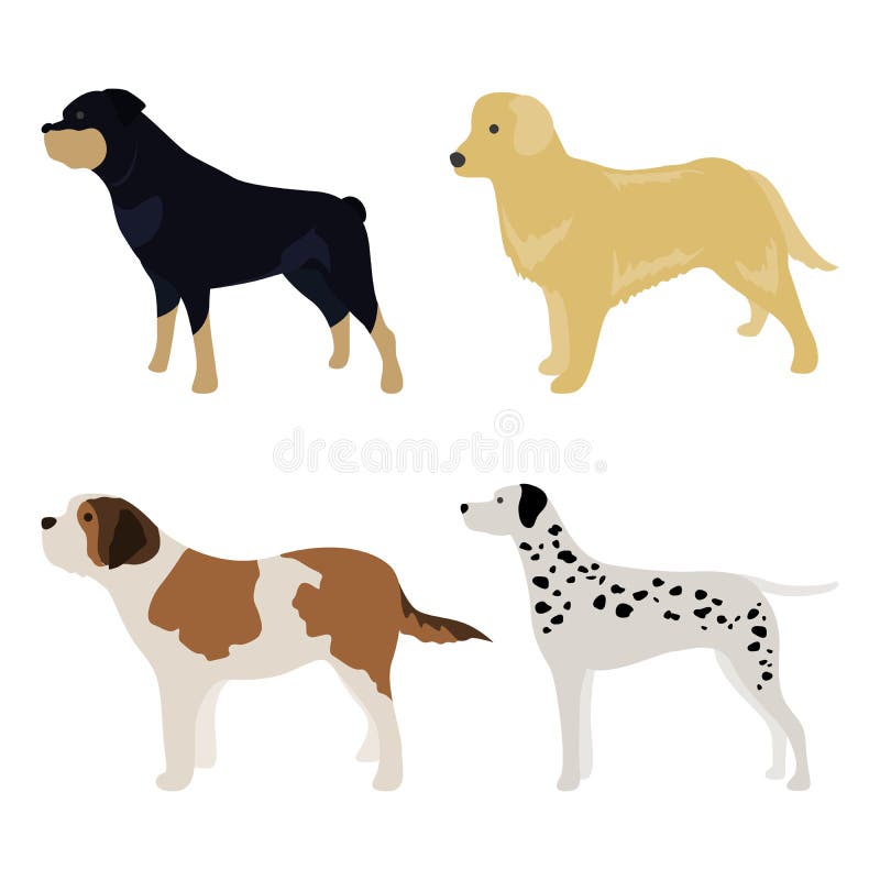 Dog Side View Set 1 stock vector. Illustration of design - 81001131