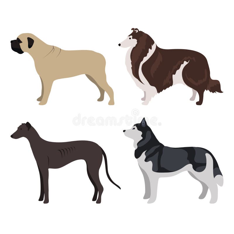 Dog Side View Set 1 stock vector. Illustration of design - 81001131