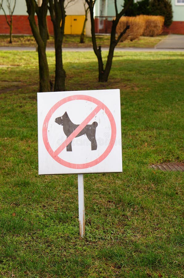 Dog sign stock photo. Image of forbidden, dogs, sign - 48719178